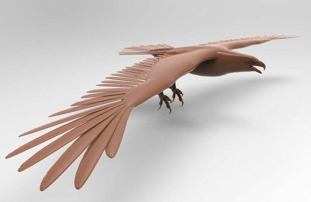 Free OBJ file flying hawk・3D printer design to download・Cults